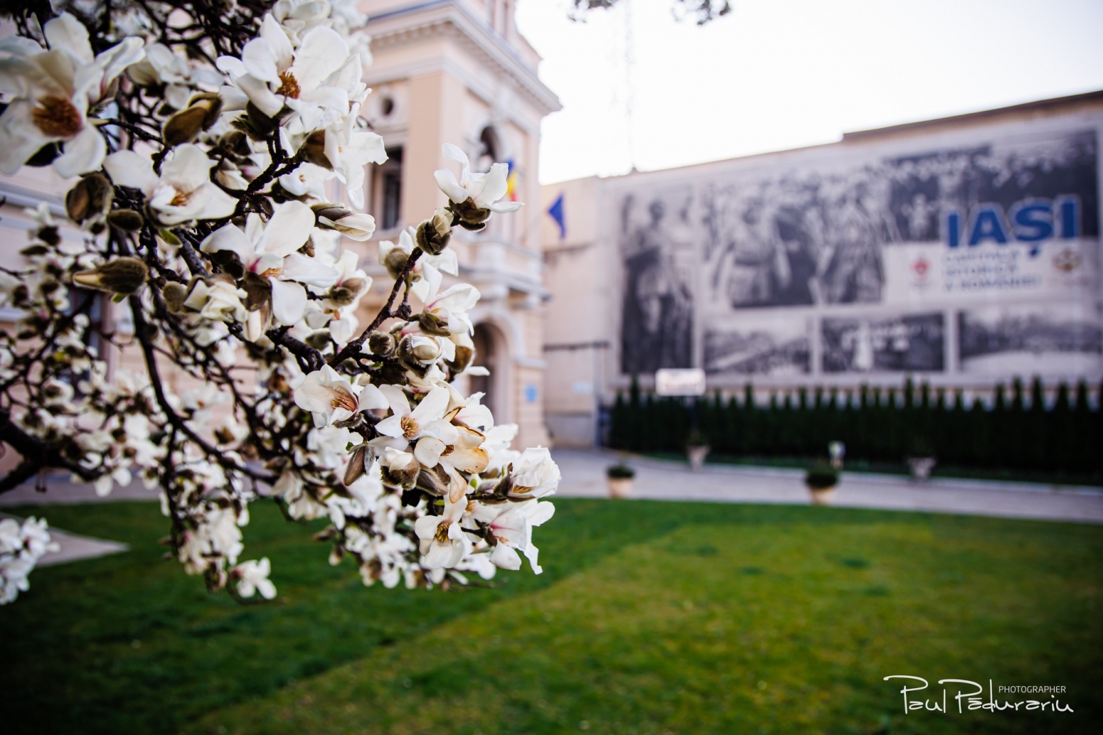 Harta magnoliilor: 5 orase din Romania de vizitat primavara - Stayhere